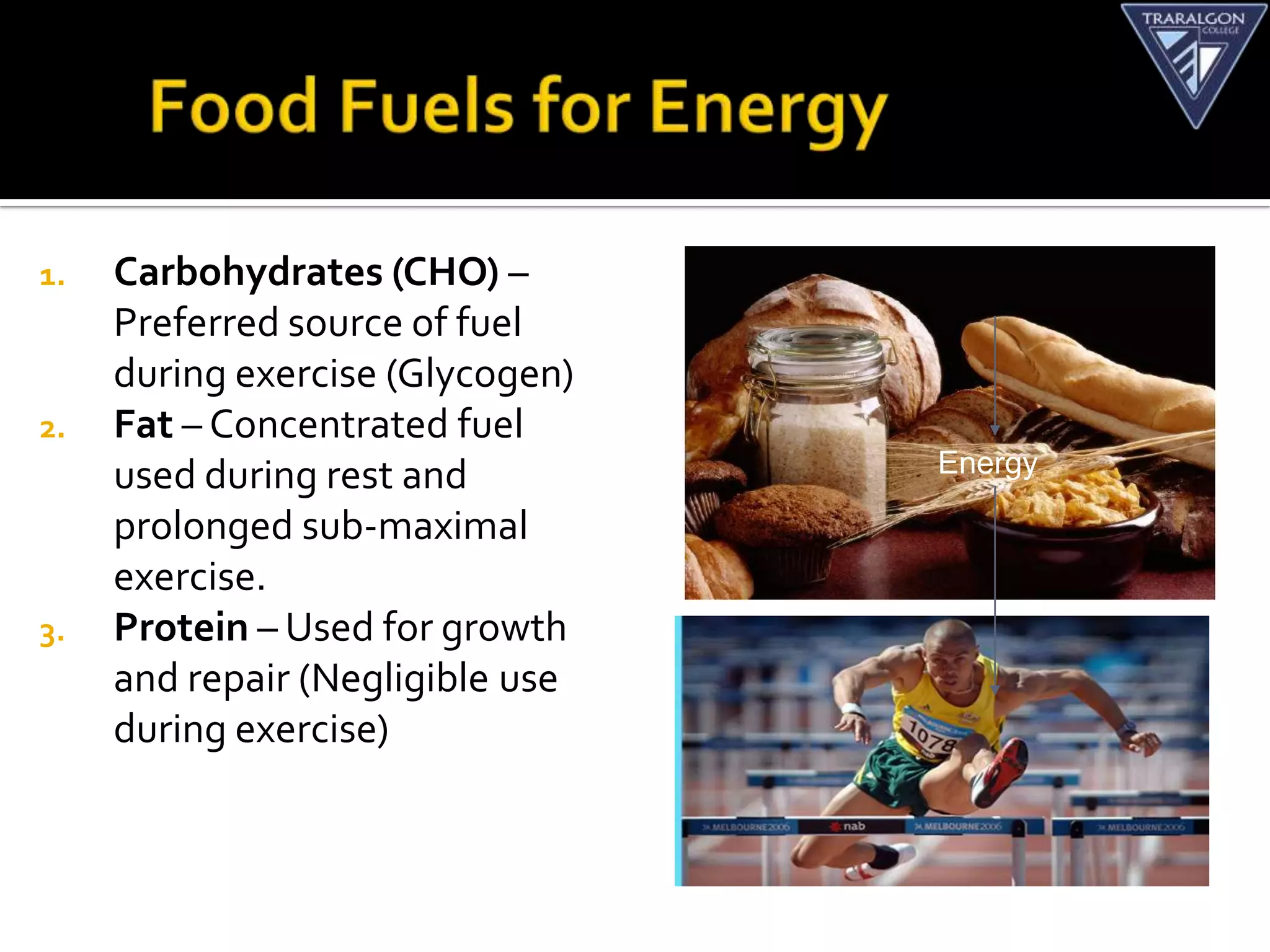 Introduction to the energy systems | PPTX