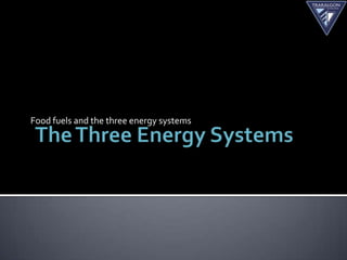 Introduction to the energy systems | PPTX