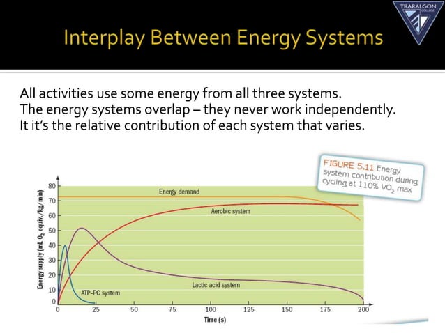 Introduction to the energy systems | PPTX