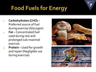 Introduction to the energy systems | PPTX