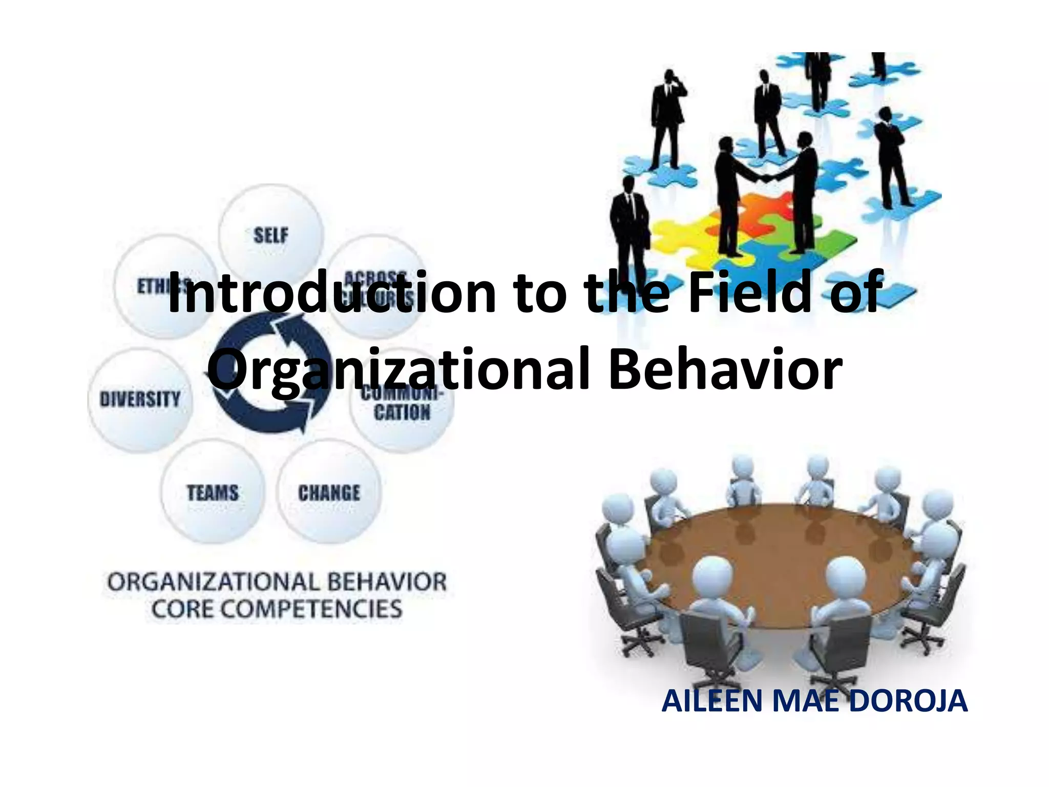 Introduction to the field of organizational behavior | PPT