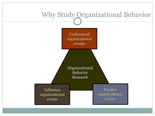 Introduction To The Field Of Organizational Behaviour | PPT