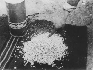 Introduction to the holocaust | PPT