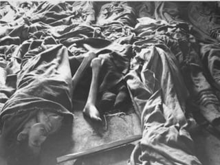 Introduction to the holocaust | PPT