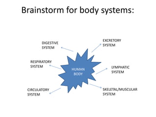 Introduction to the human body | PPT