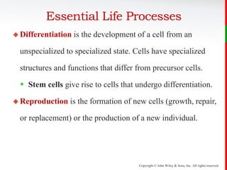 Introduction To The Human Body | PDF