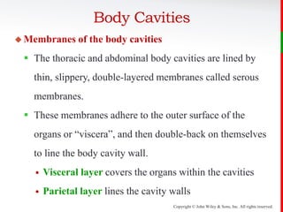 Introduction To The Human Body | PDF
