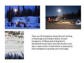 Introduction To The Iditarod | PPT