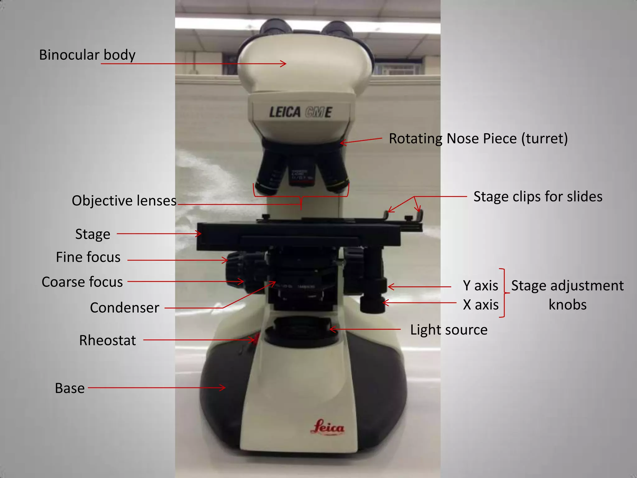 Introduction to the light microscope | PPTX