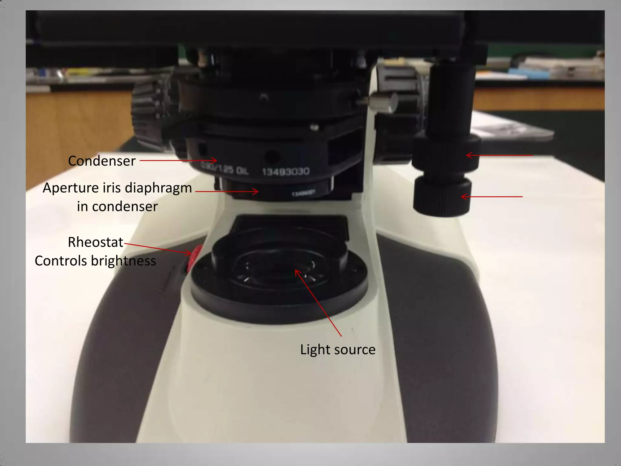Introduction to the light microscope | PPTX