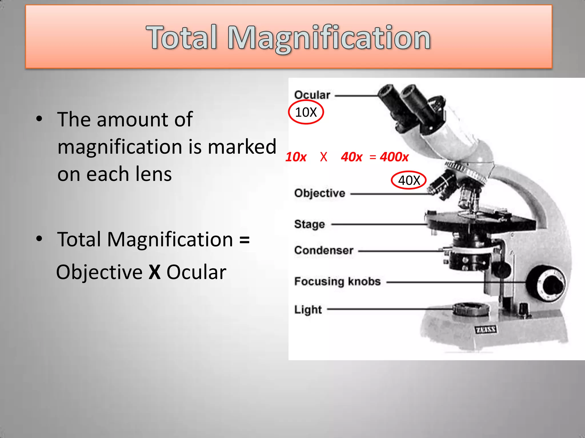 Introduction to the light microscope | PPTX