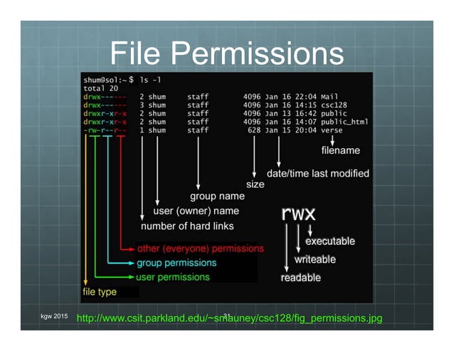 Introduction to the linux command line.pdf