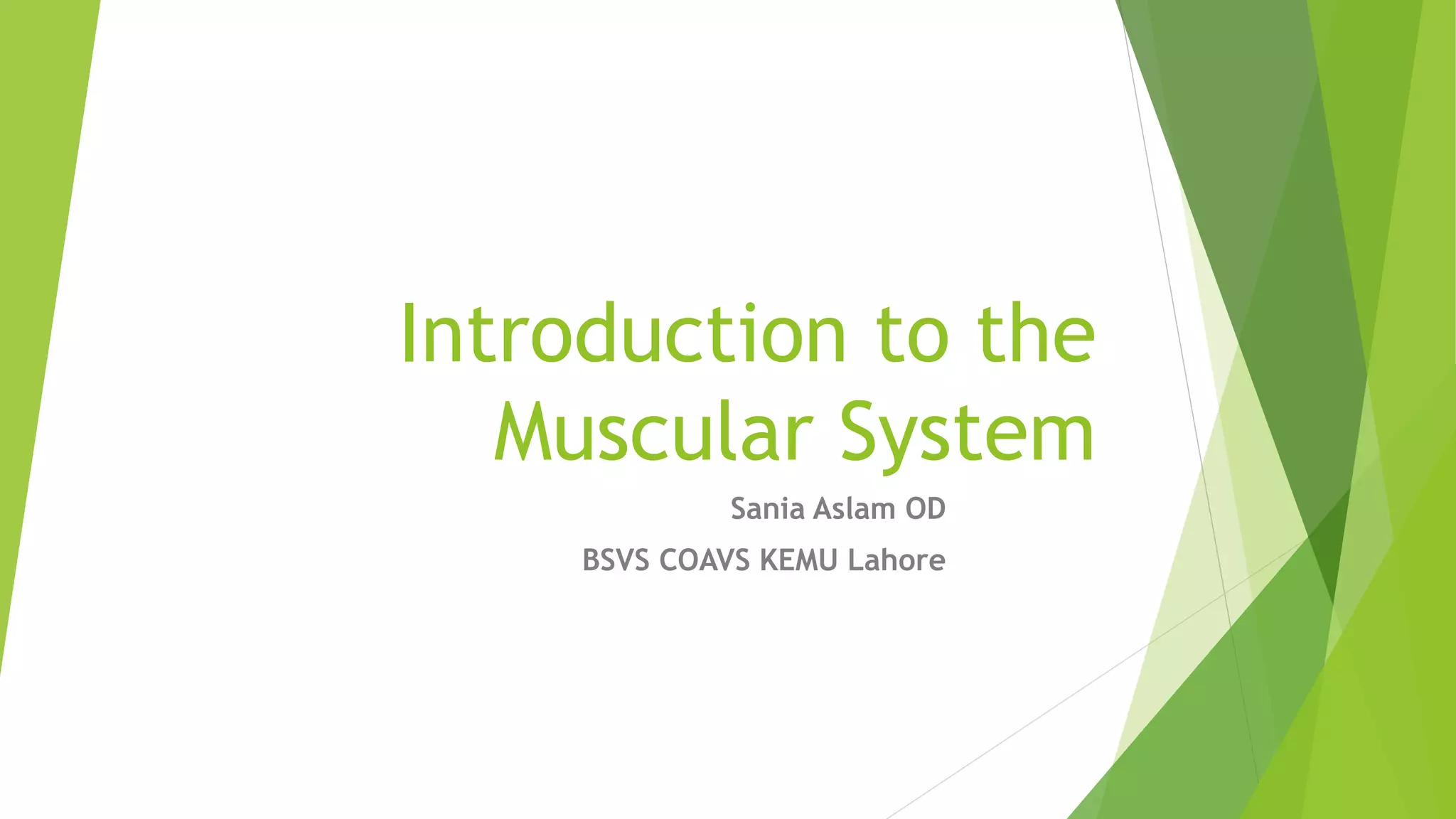 Introduction to the muscular system | PPT