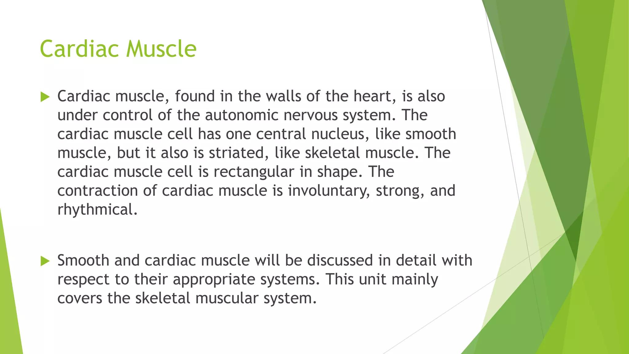 Introduction to the muscular system | PPT