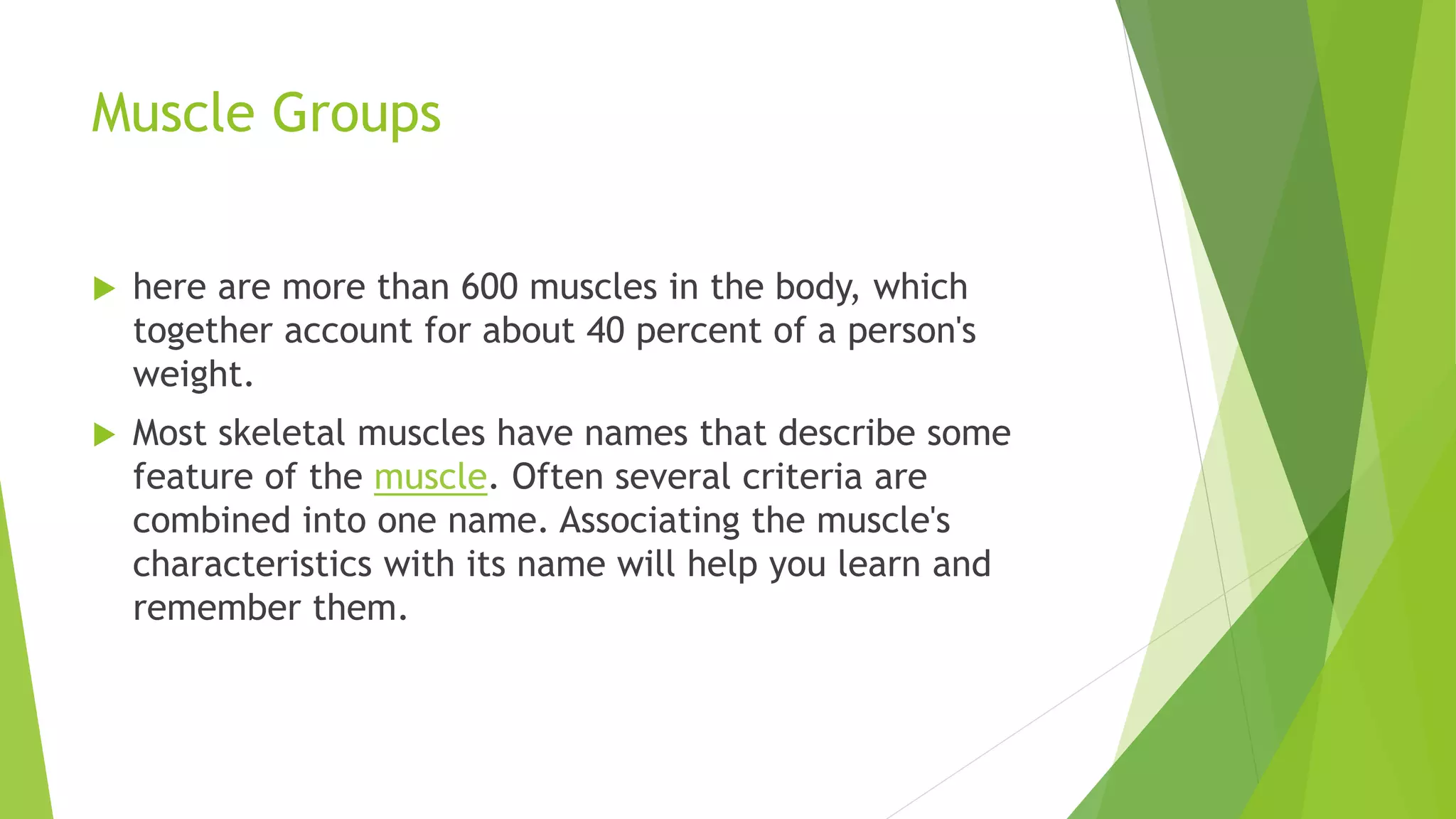Introduction to the muscular system | PPT