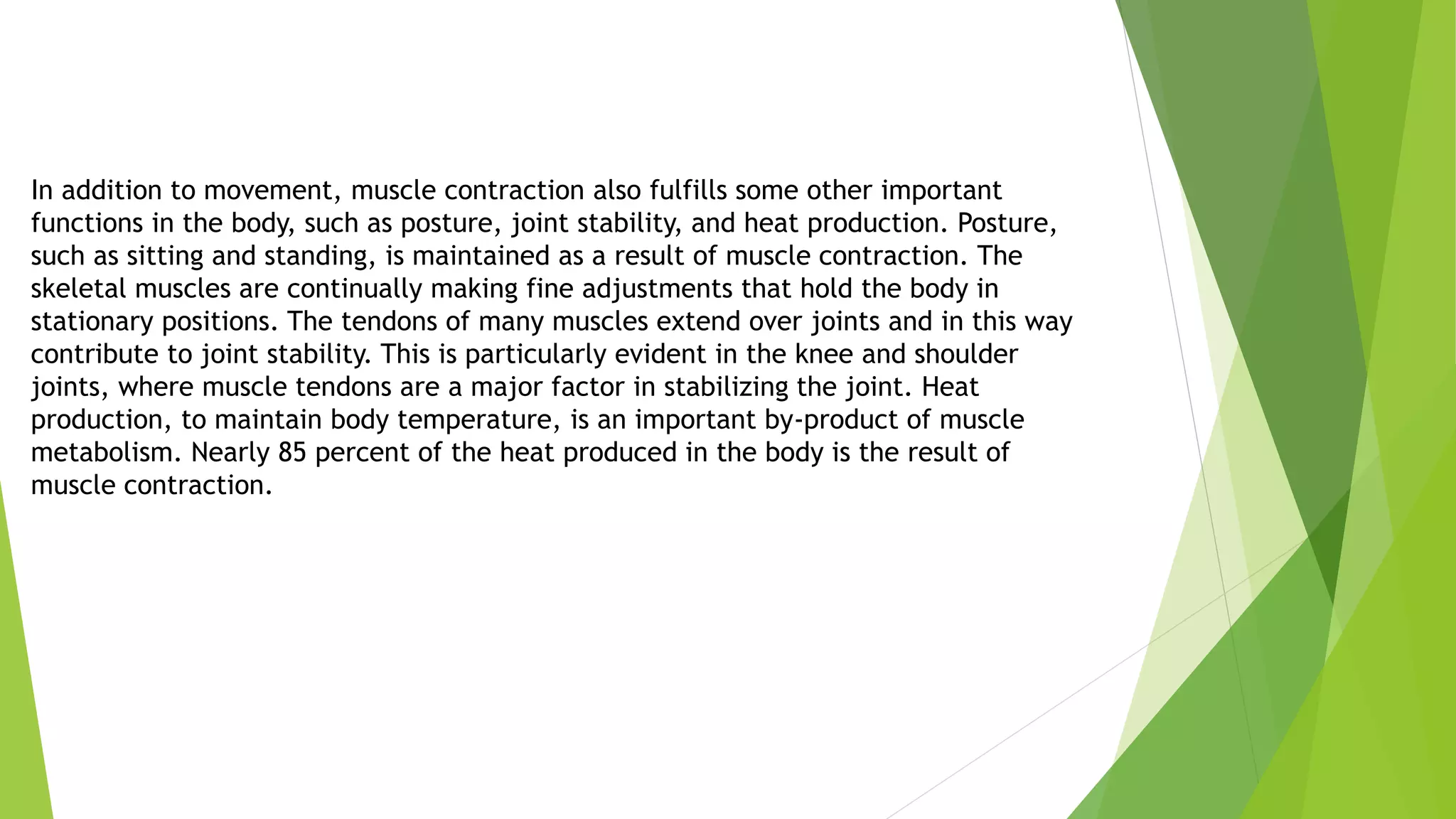 Introduction to the muscular system | PPT