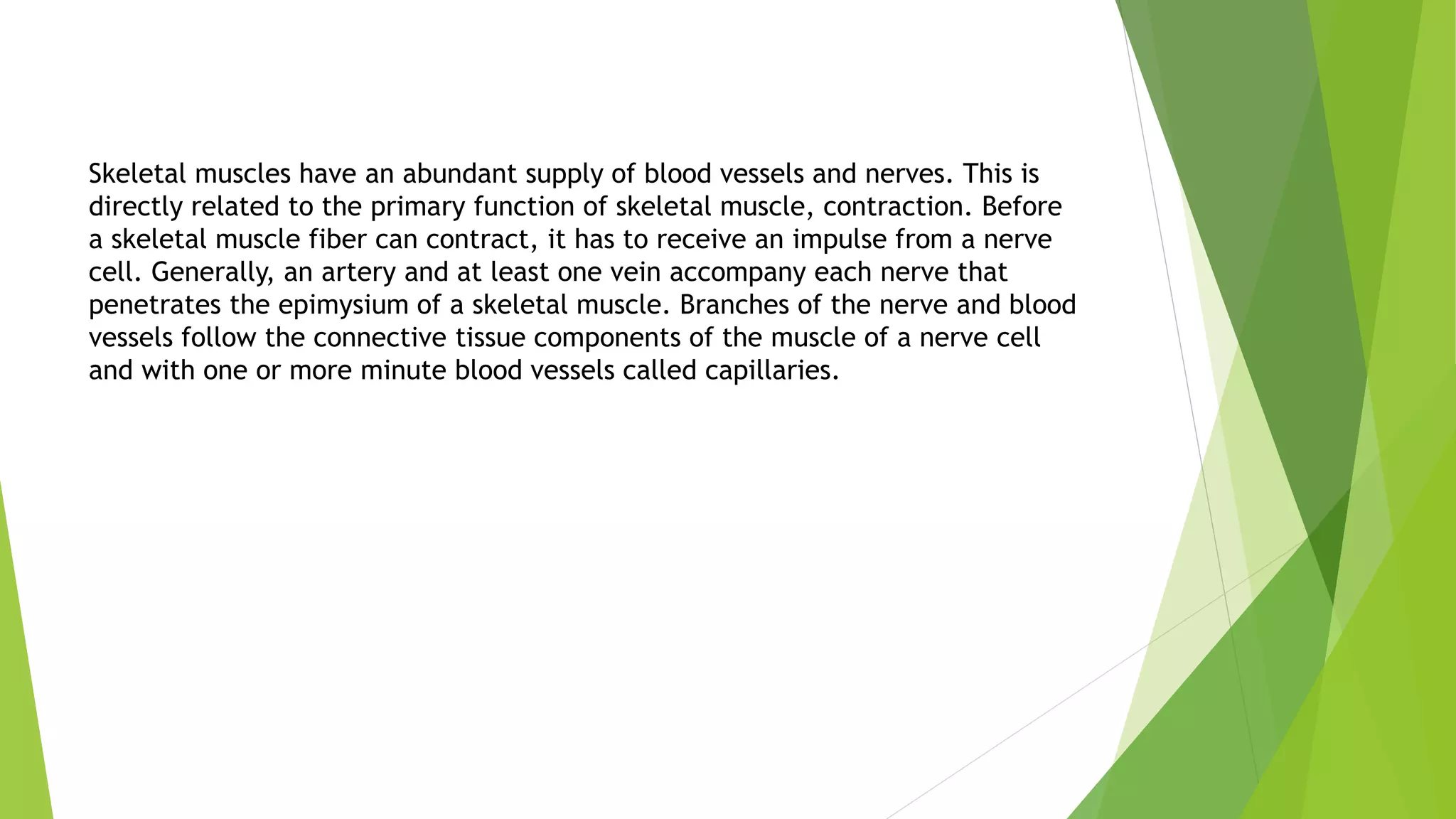 Introduction to the muscular system | PPT