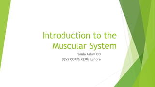 Introduction to the muscular system | PPTX