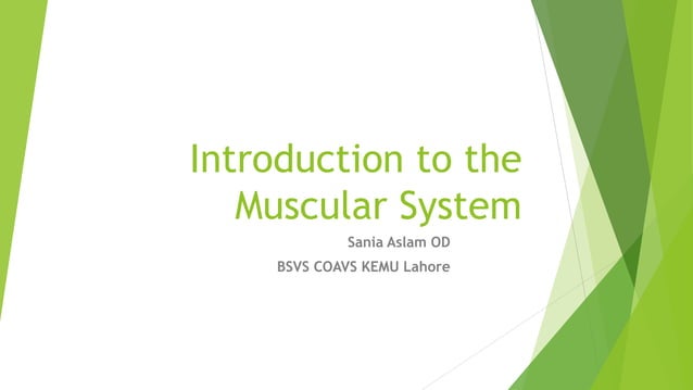 Introduction to the muscular system | PPT