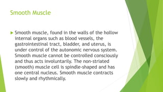 Introduction to the muscular system | PPTX