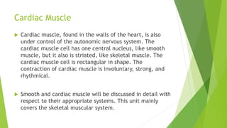 Introduction to the muscular system | PPTX