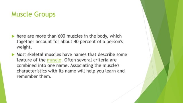 Introduction to the muscular system | PPT
