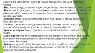 Introduction to the muscular system | PPTX