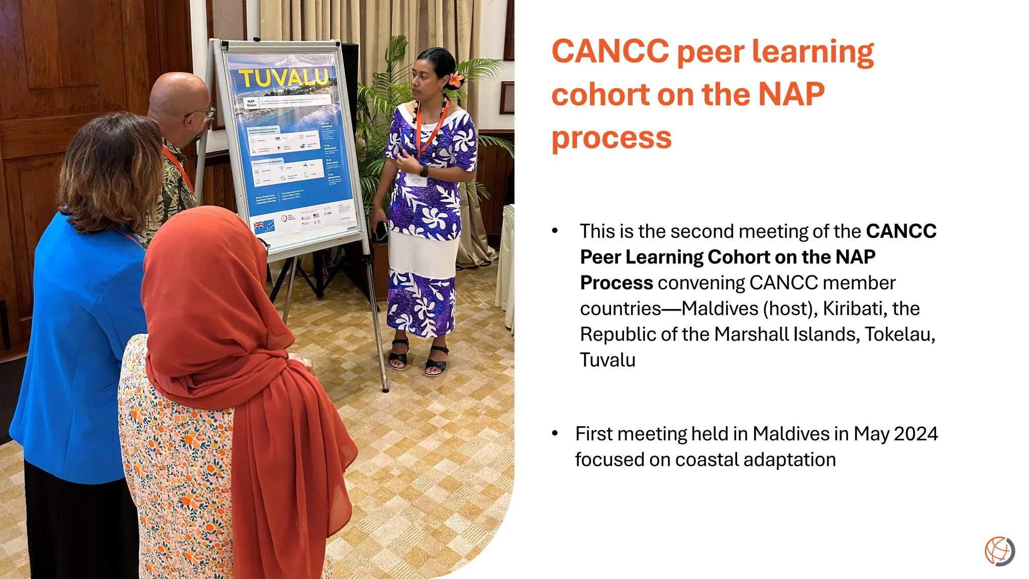 Introduction to the NAP process and South-South Peer Learning | PDF