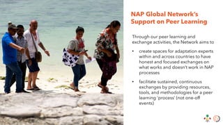 Introduction to the NAP process and South-South Peer Learning | PDF