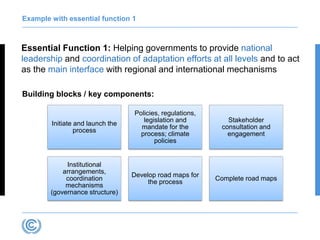 The National Adaptation Plan | PDF