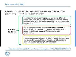 The National Adaptation Plan | PDF