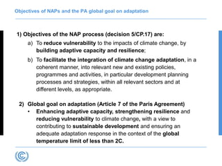 The National Adaptation Plan | PDF
