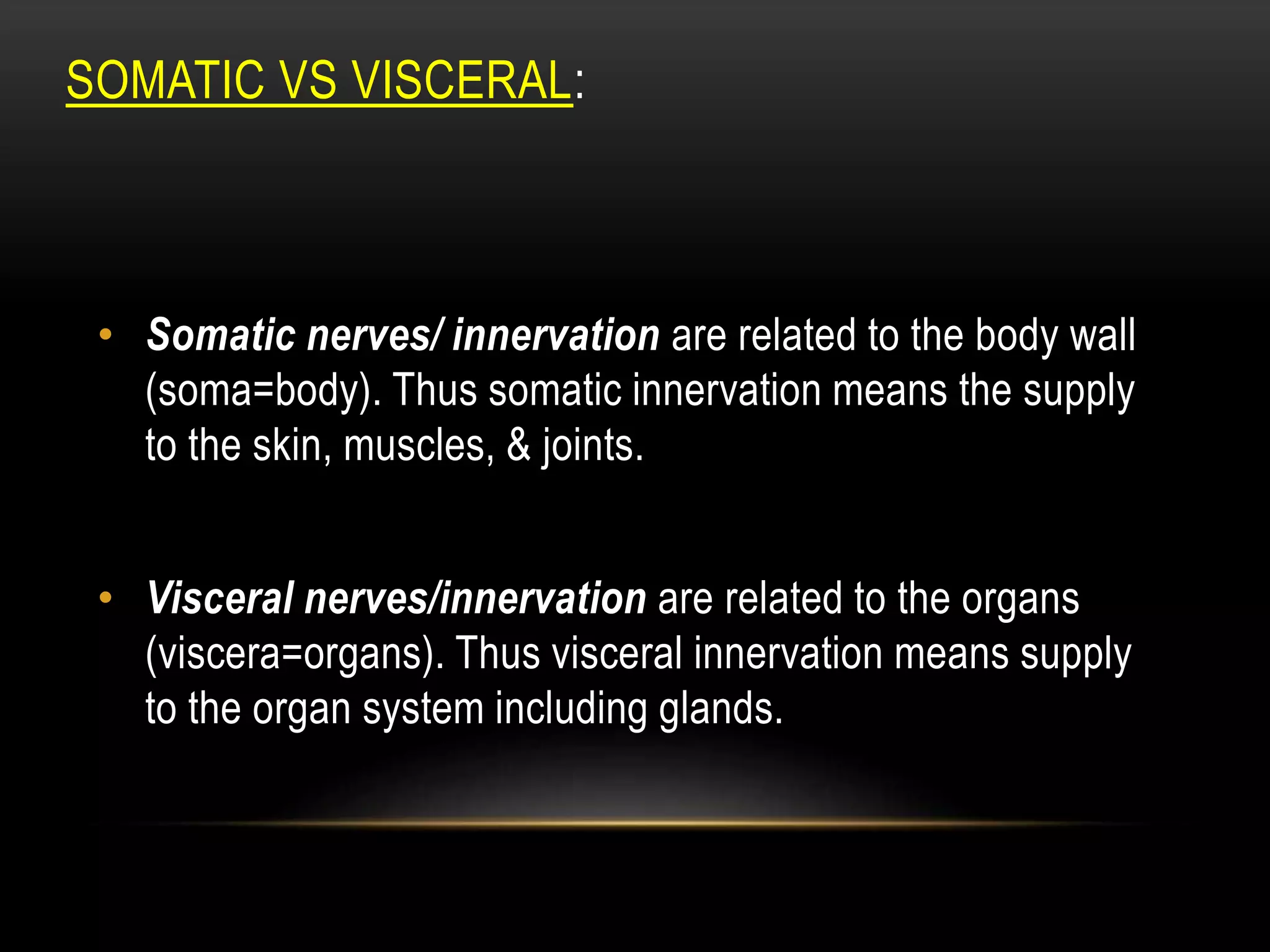 Introduction to the nervous system | PPTX