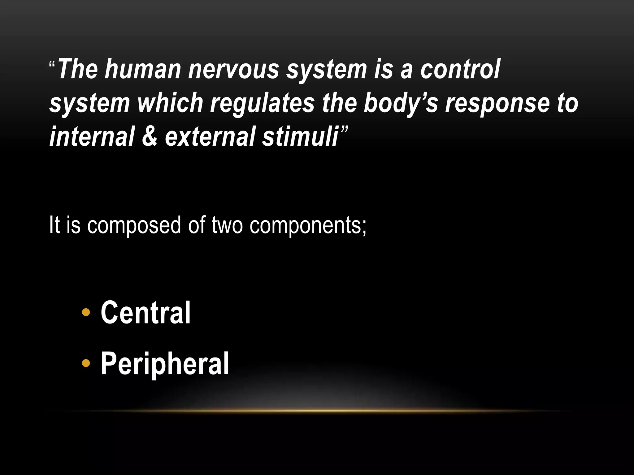 Introduction To The Nervous System Pptx