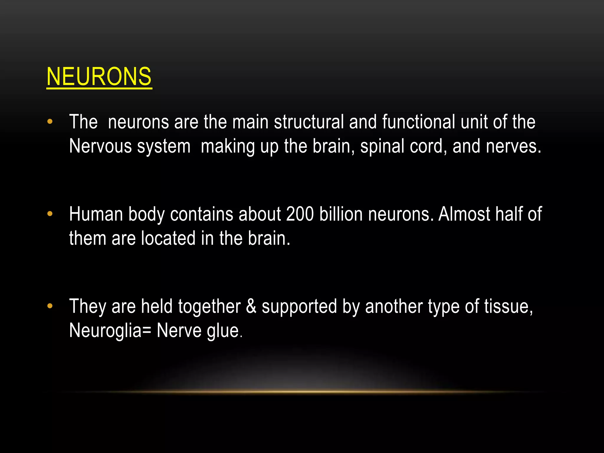 Introduction to the nervous system | PPTX