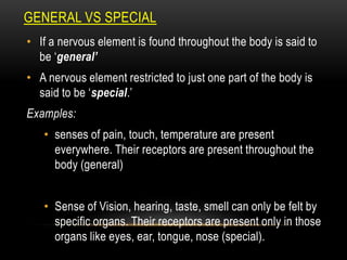 Introduction to the nervous system | PPTX