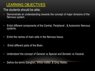 Introduction to the nervous system | PPTX