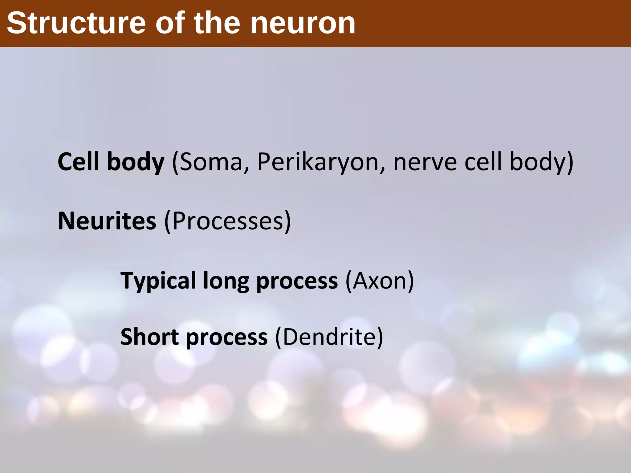 Introduction to the Nervous System : by Dr. Zobayer | PPT