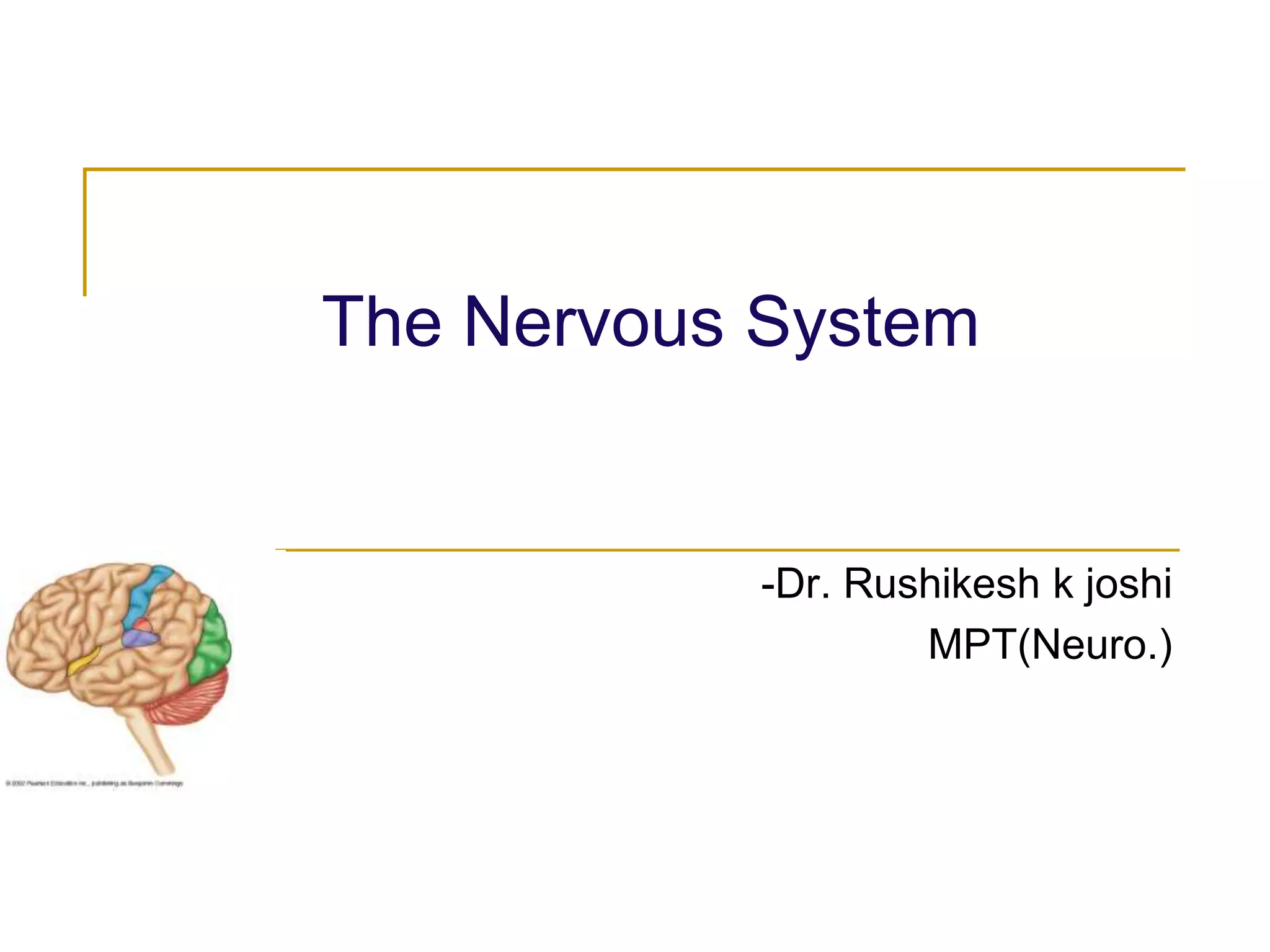 Introduction to the nervous system | PPT