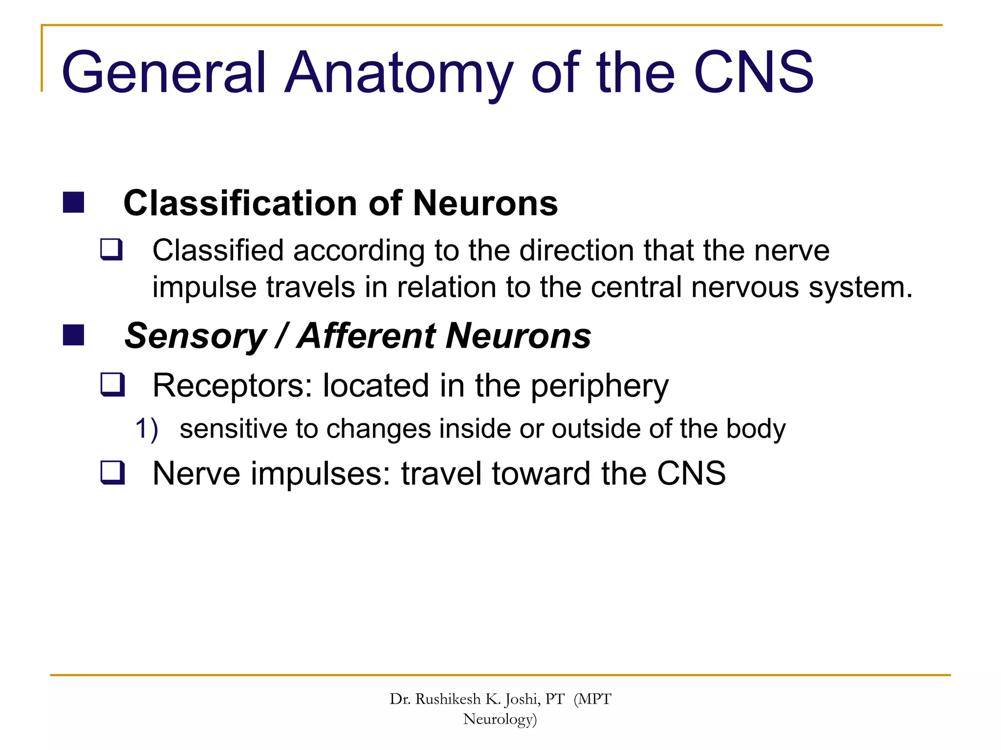 Introduction to the nervous system | PPT