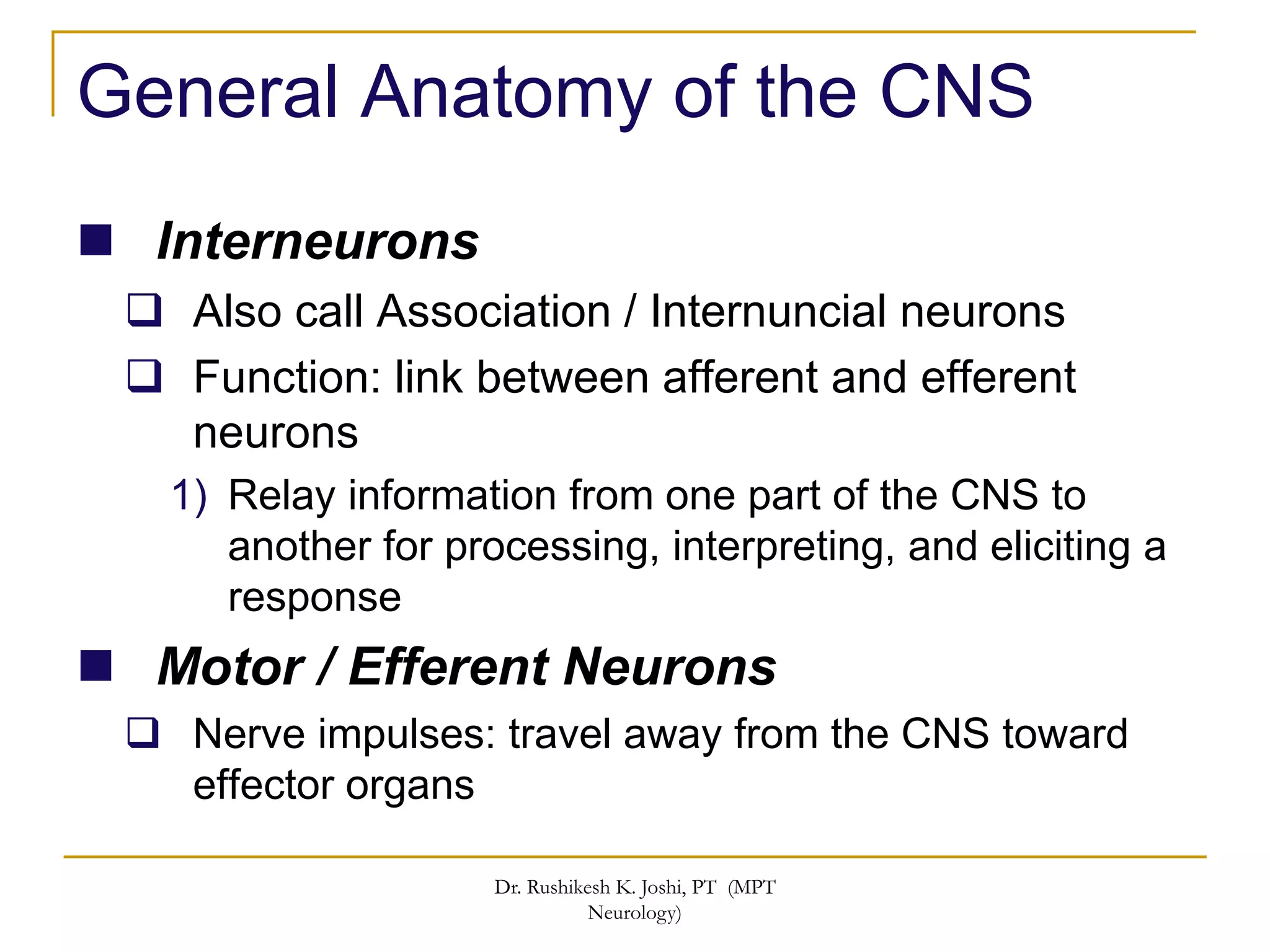 Introduction to the nervous system | PPT