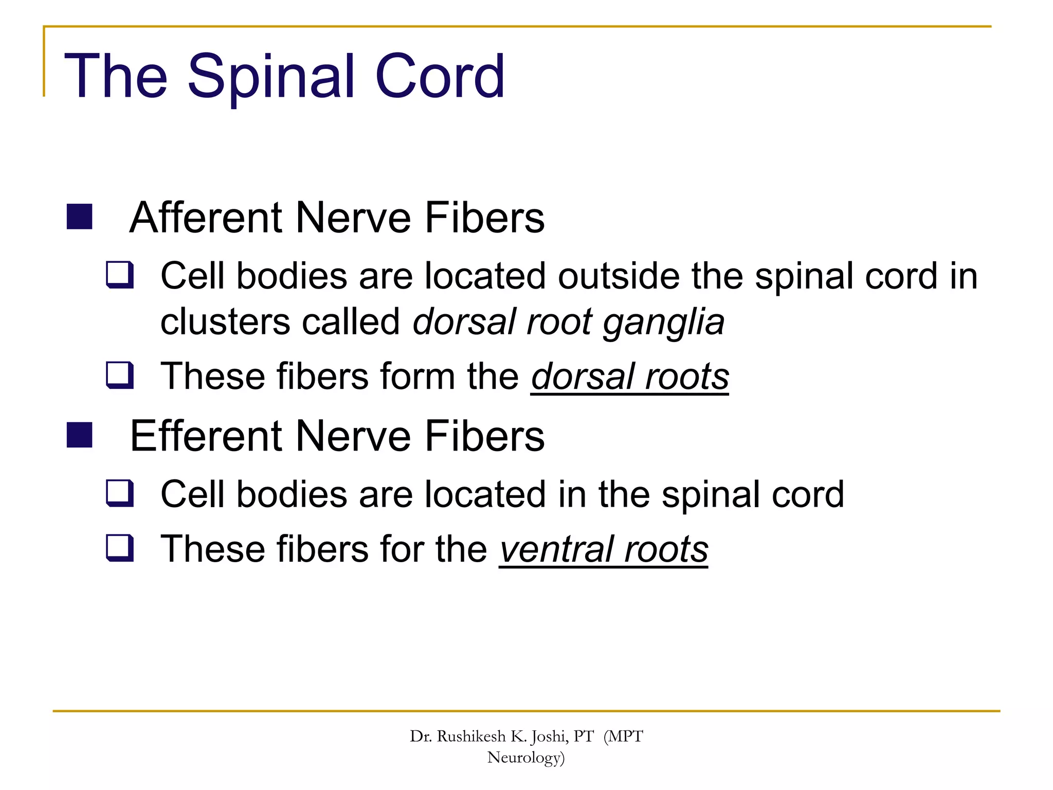 Introduction to the nervous system | PPT