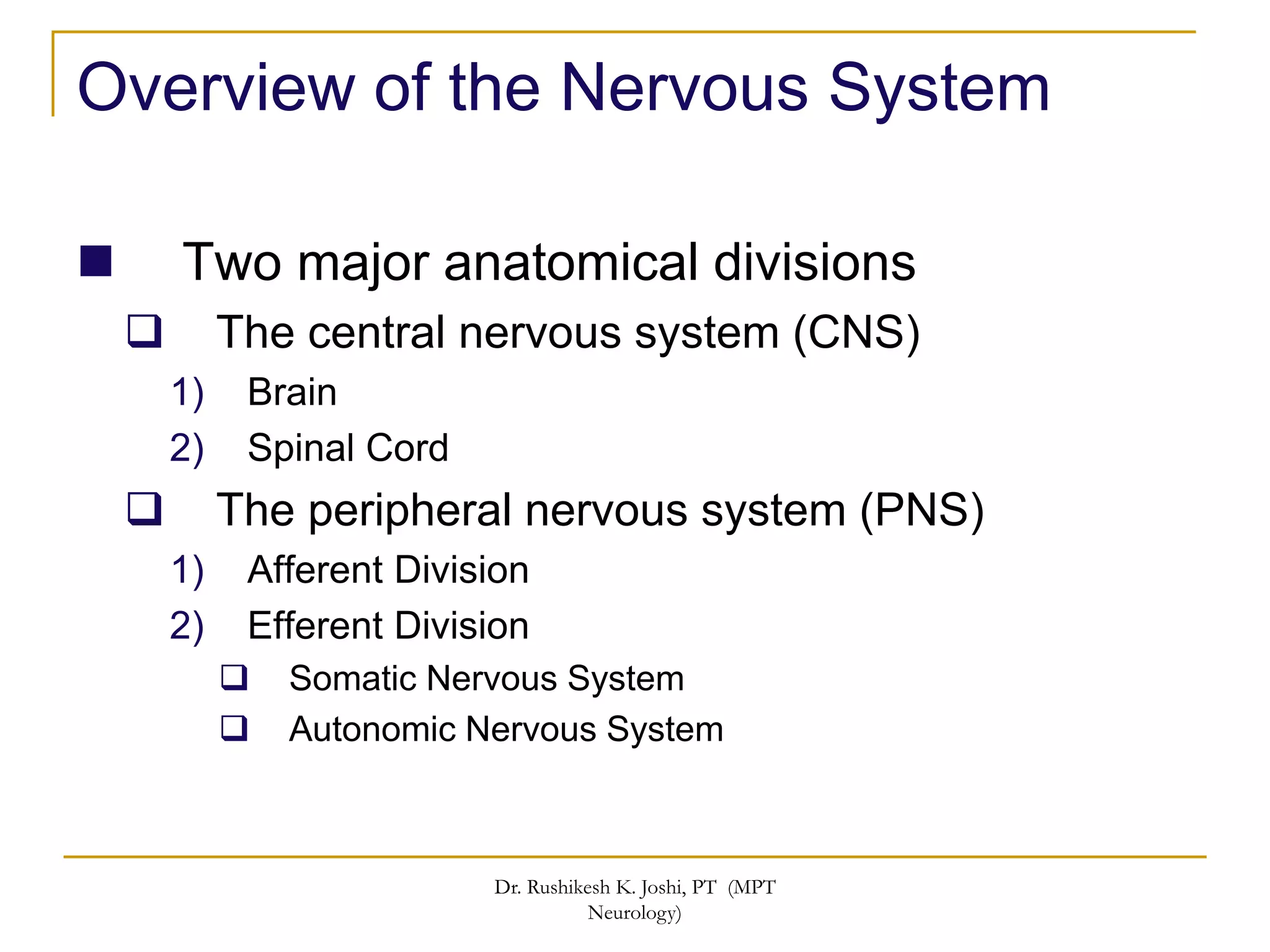 Introduction to the nervous system | PPT