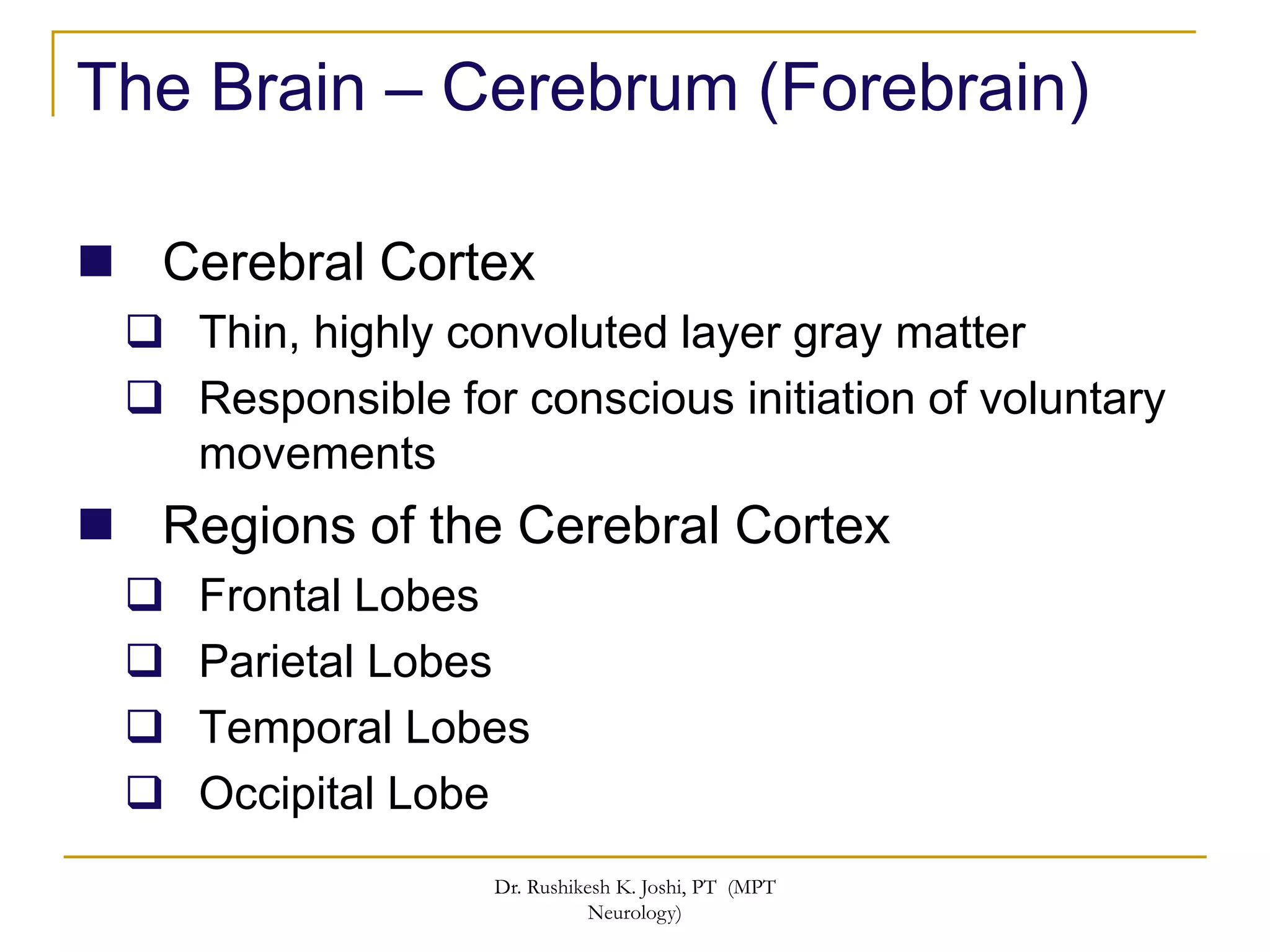 Introduction to the nervous system | PPT
