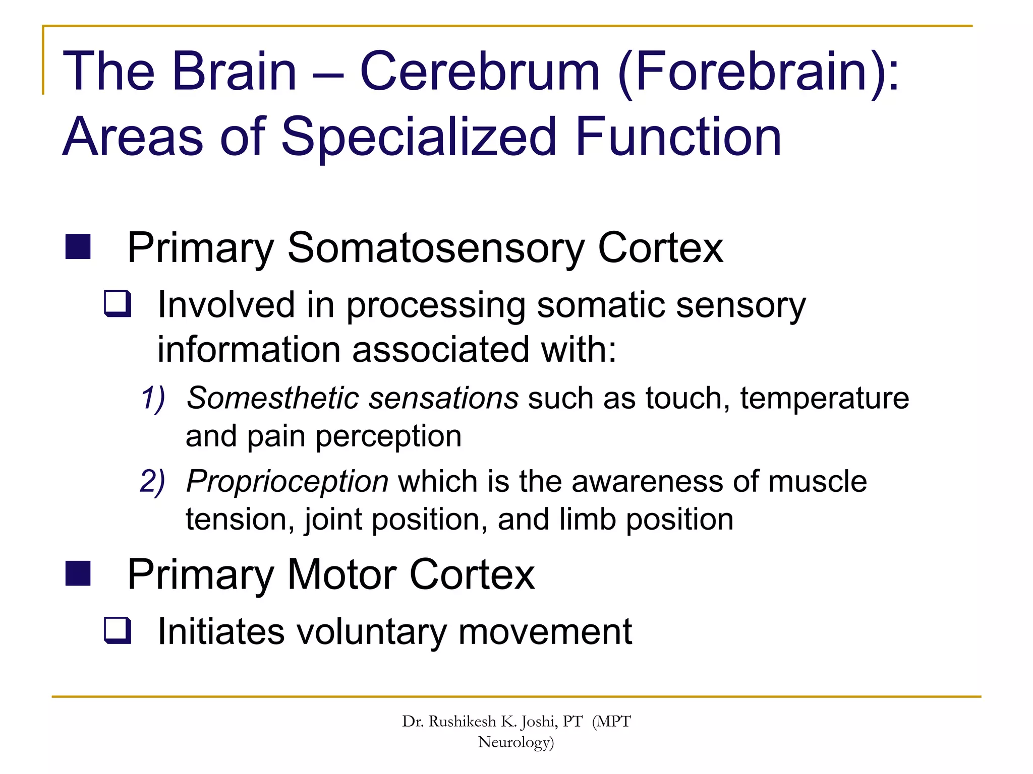 Introduction to the nervous system | PPT