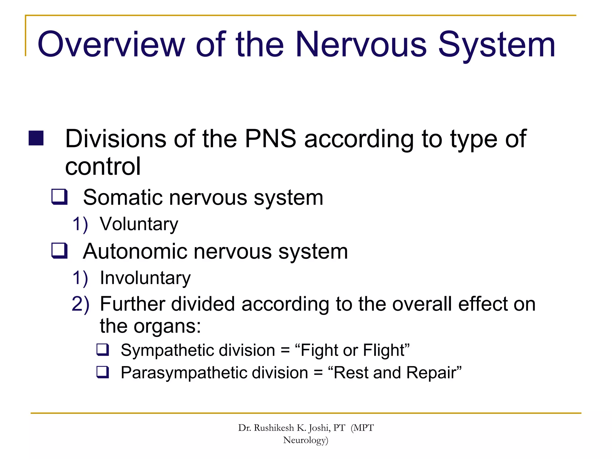 Introduction to the nervous system | PPT
