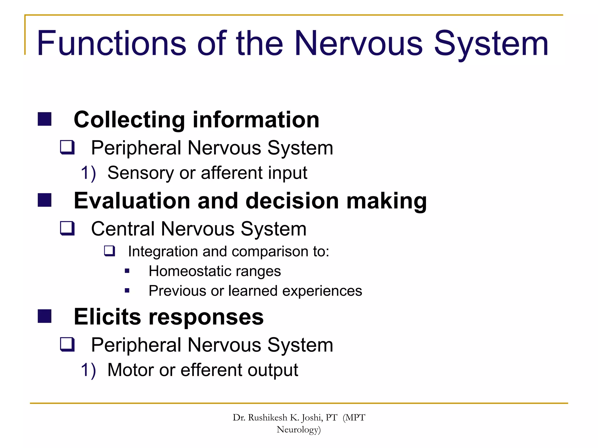 Introduction to the nervous system | PPT