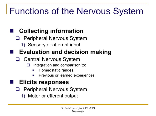 Introduction to the nervous system | PPT