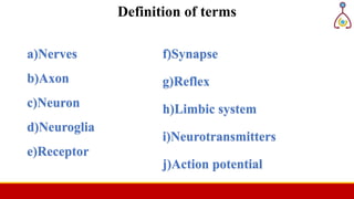Introduction to the Nervous System.pptx