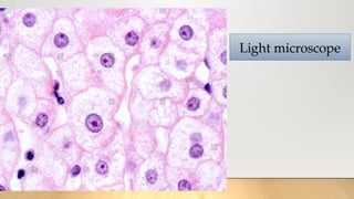 Introduction to The Oral Histology study | PPTX